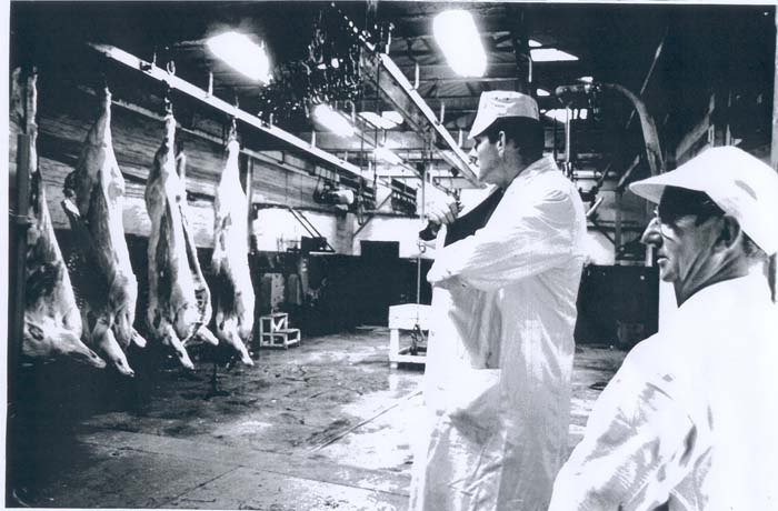KLF • View topic - ABATTOIR & MARKET