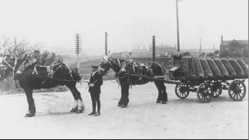 KLF • View topic - BURKITT