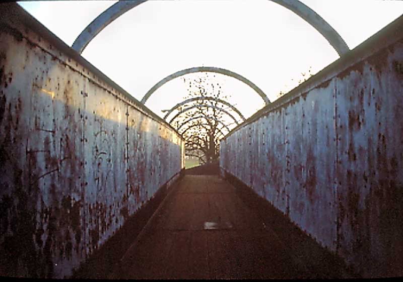 KLF • View topic - Kings Lynn Railway