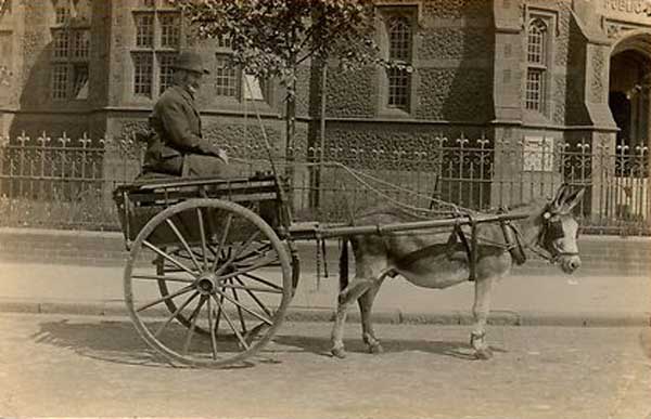 KLF • View topic - DONKEY CART+LIBRARY