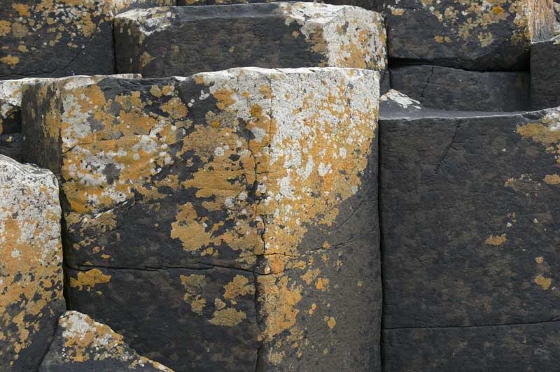 KLF • View topic - GIANT'S CAUSEWAY IRELAND