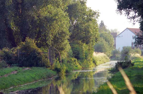 KLF • View topic - Springwood to Reffley walkway (Spring Lane)