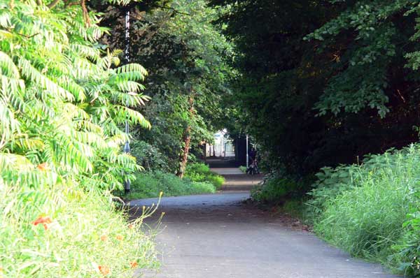KLF • View topic - Springwood to Reffley walkway (Spring Lane)