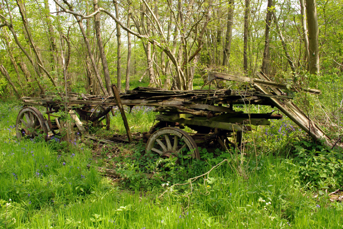 KLF • View topic - Foxley Wood