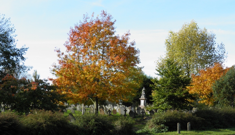 KLF • View topic - Hardwick Cemetary